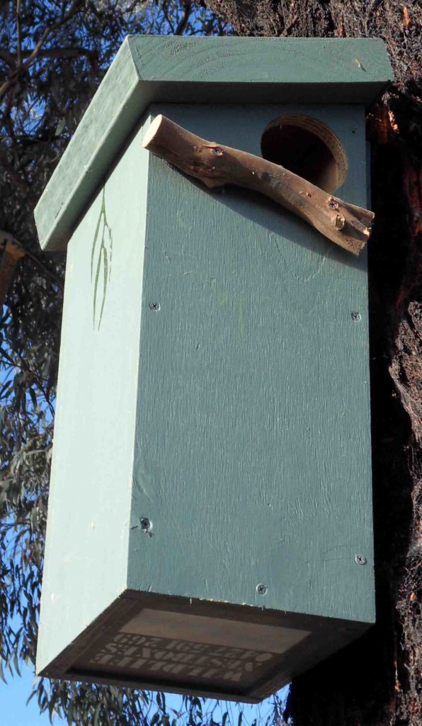 Wildlife Nest Boxes – Attract hollow-dependent wildlife to your garden ...