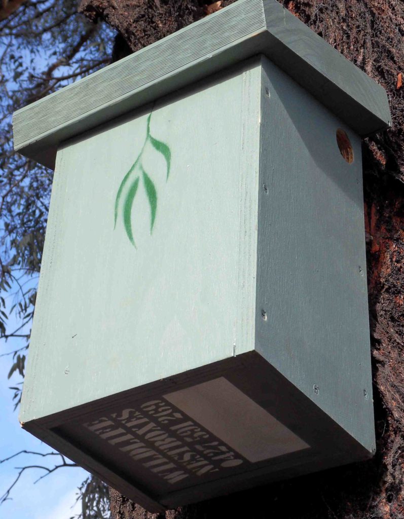 Wildlife Nest Boxes – Attract hollow-dependent wildlife to your garden ...