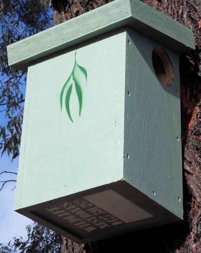 Wildlife Nest Boxes – Attract hollow-dependent wildlife to your garden ...