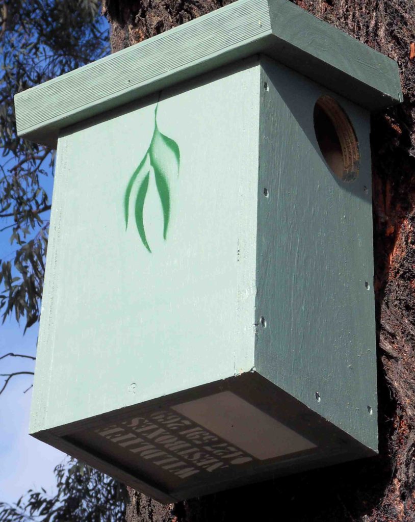 Wildlife Nest Boxes – Attract hollow-dependent wildlife to your garden ...
