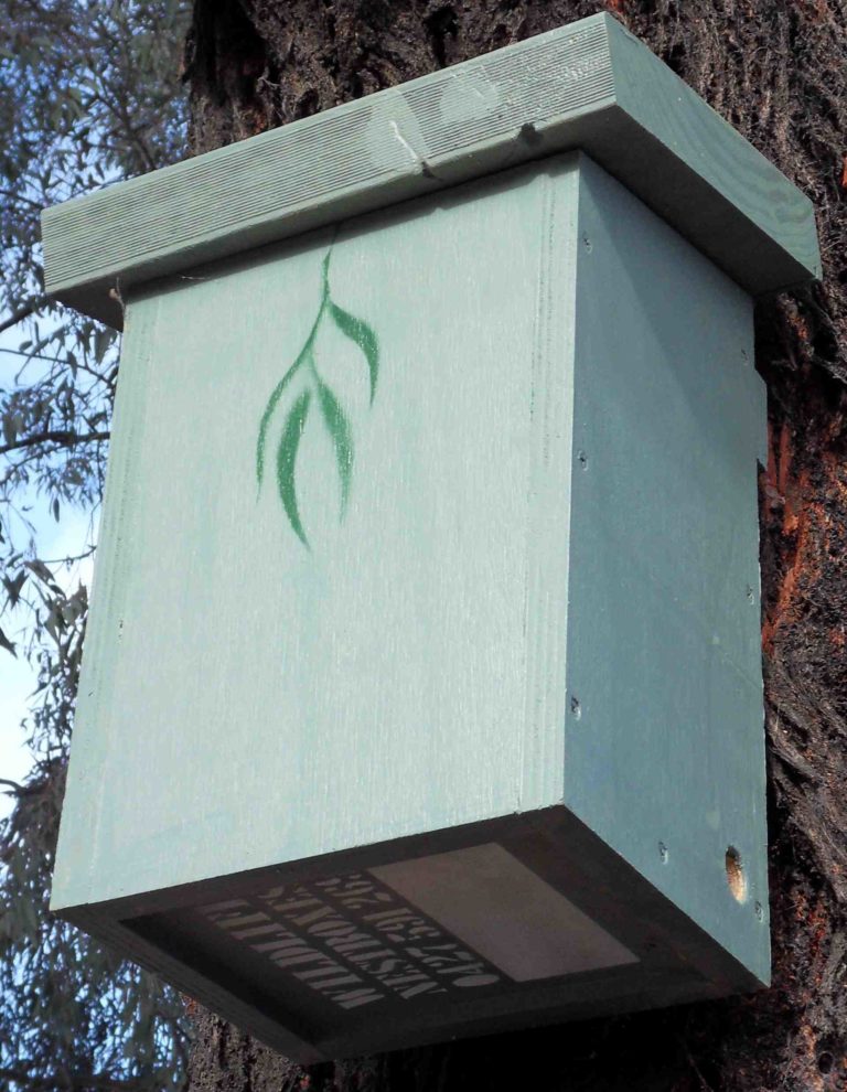 Wildlife Nest Boxes – Attract hollow-dependent wildlife to your garden ...