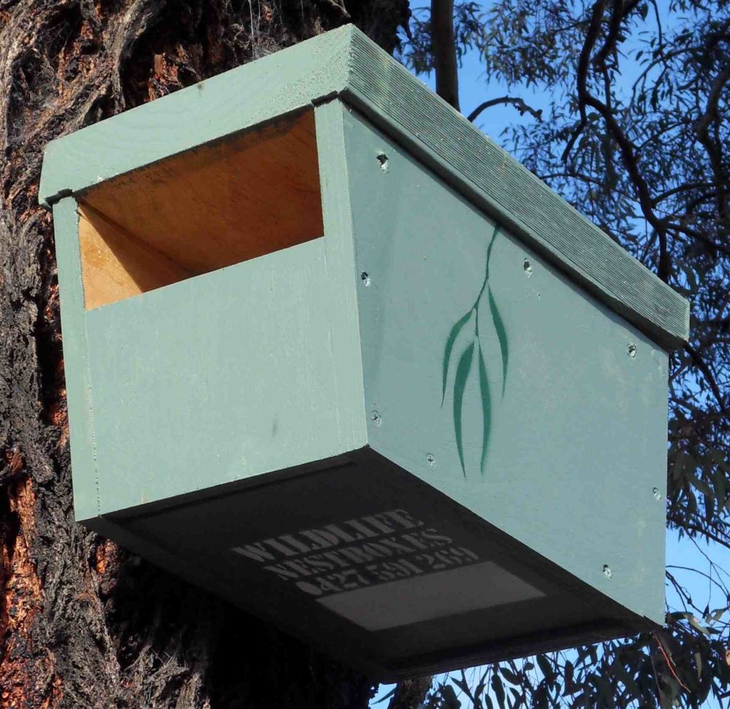 Wildlife Nest Boxes – Attract hollow-dependent wildlife to your garden ...