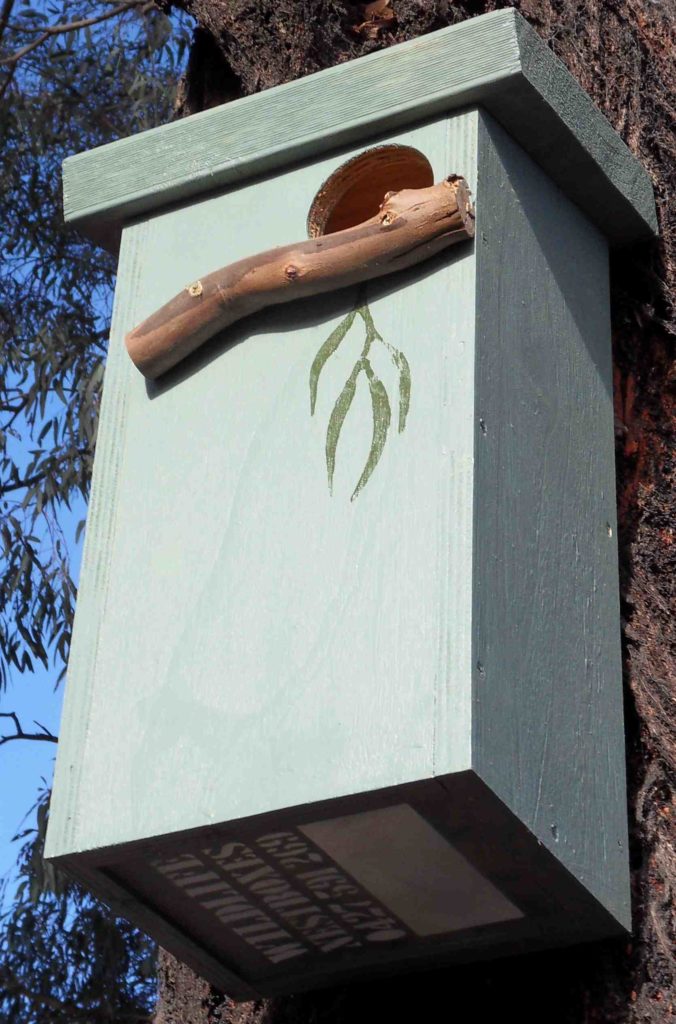 Wildlife Nest Boxes – Attract hollow-dependent wildlife to your garden ...