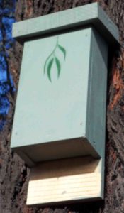 Wildlife Nest Boxes – Attract hollow-dependent wildlife to your garden ...